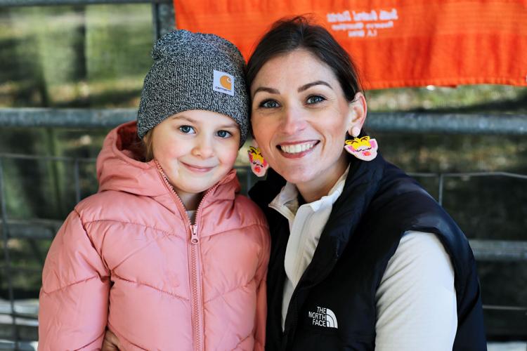 Pigs, cattle, goats, poultry, rabbits, sheep take over barns at West ...