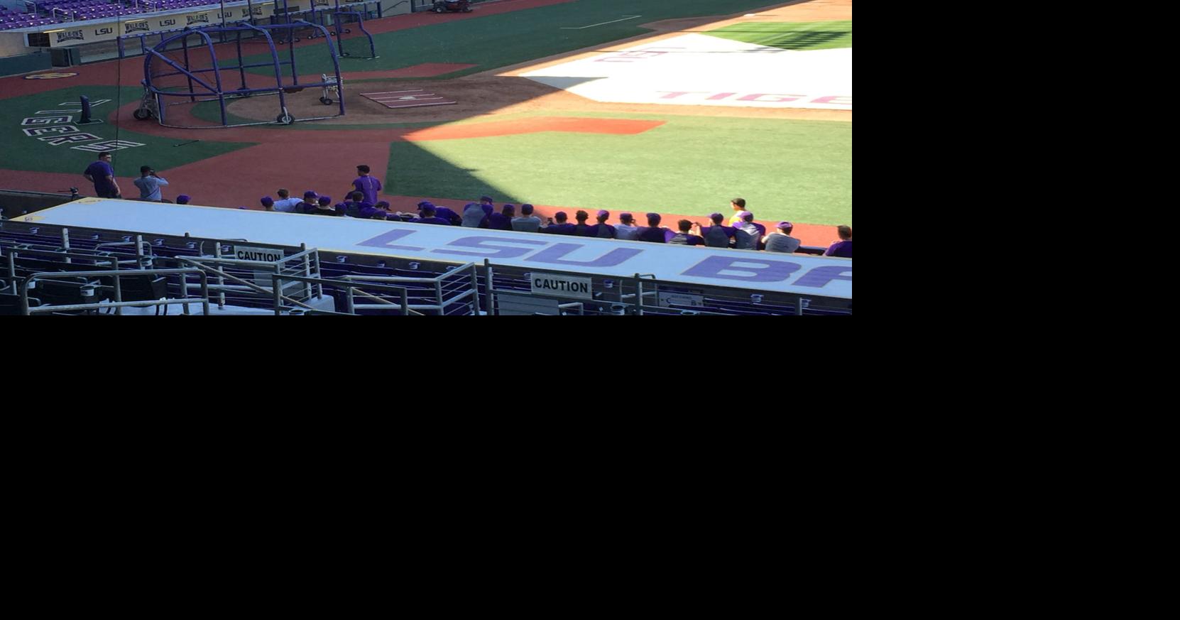 Video: LSU baseball practice disrupted by unwelcome swarm of bees | LSU ...