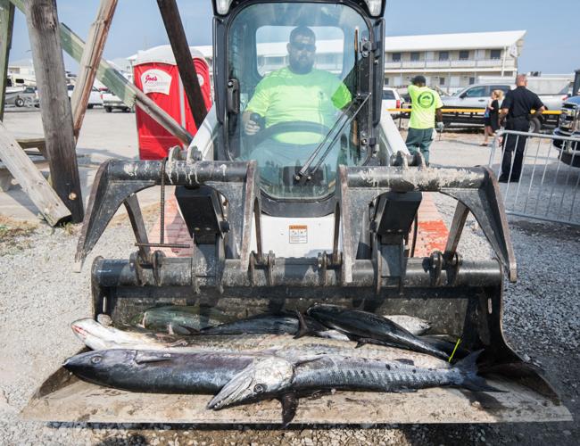 Grand Isle Tarpon Rodeo finishes with enormous 208-pound tarpon ...