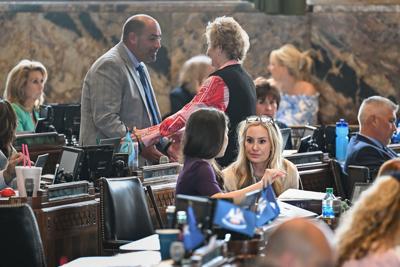 Louisiana abandons bid to protect IVF services | State Politics ...