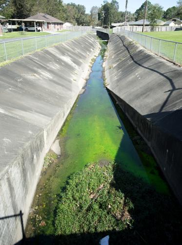 Don't worry if you see a fluorescent green coulee; it's part of routine ...