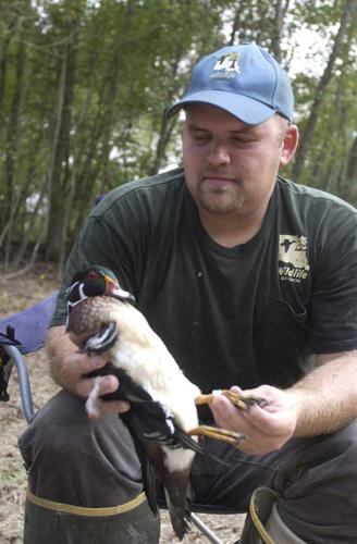 The basics of reporting banded birds | Louisiana Outdoors | theadvocate.com