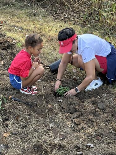 LSU Agcenter scientist trying to bring back fireflies | Entertainment ...