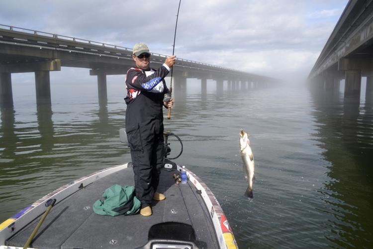 Lake Pontchartrain Causeway reaching its prime for big speckled trout ...