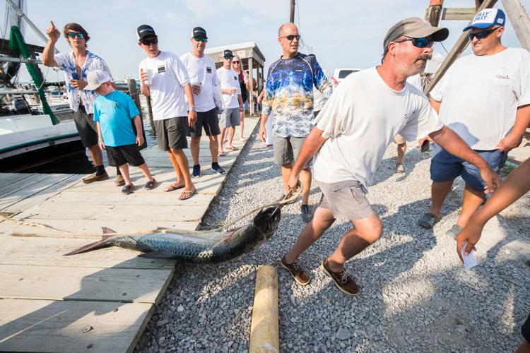 Grand Isle Tarpon Rodeo finishes with enormous 208-pound tarpon ...