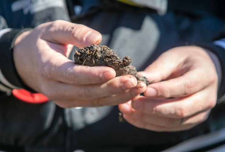 In marsh's muck, Louisiana’s past and future collide | Environment ...