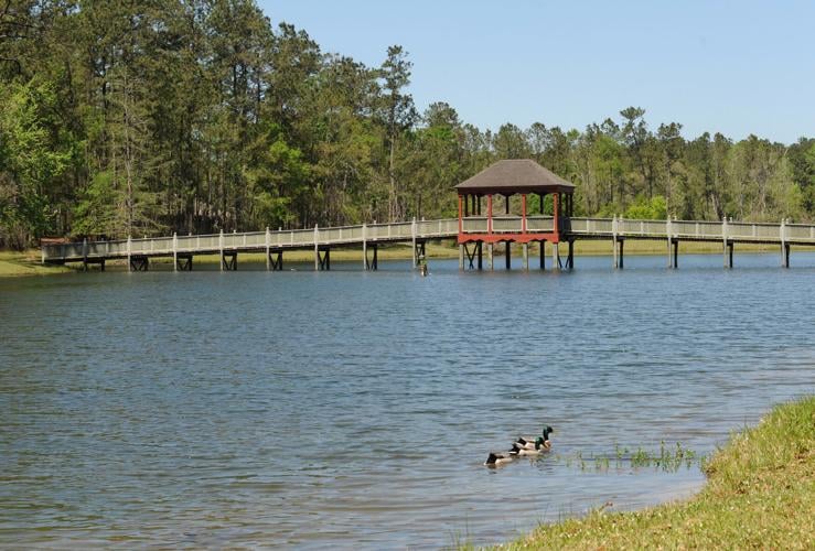 'Like stepping back into all the good things': Solomon Episcopal ...