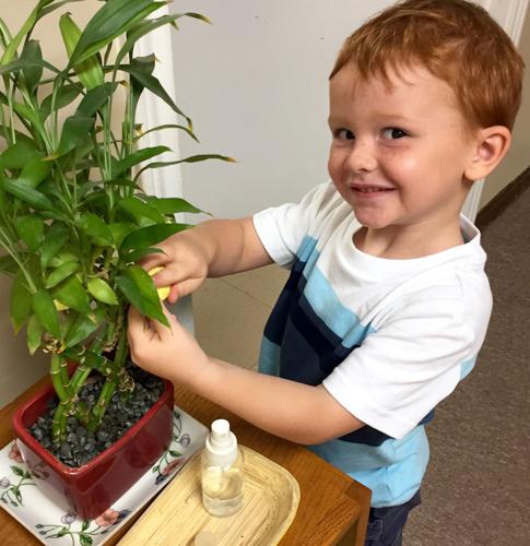 Montessori School of Baton Rouge students celebrate 50 years | Mid City ...