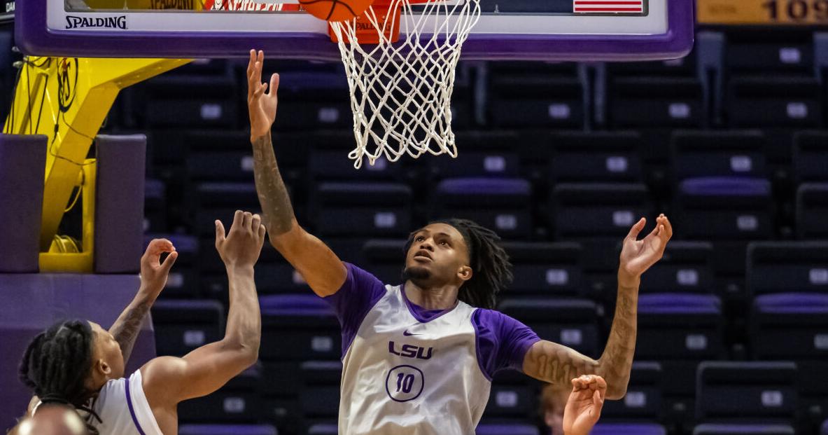 LSU's Matt McMahon: Daimion Collins ready for breakout year | LSU ...