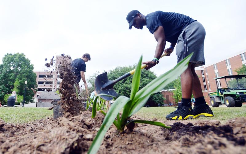 Photos: UL-Lafayette student volunteers plant second bioswale on campus ...