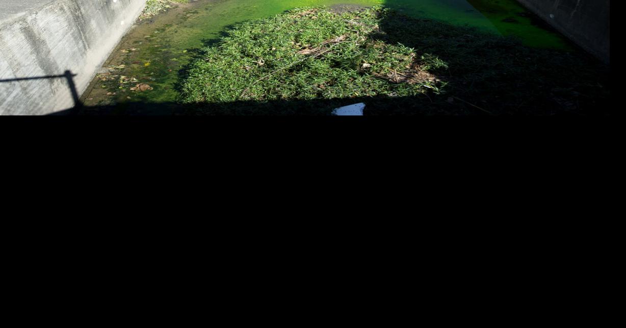 Don't worry if you see a fluorescent green coulee; it's part of routine ...