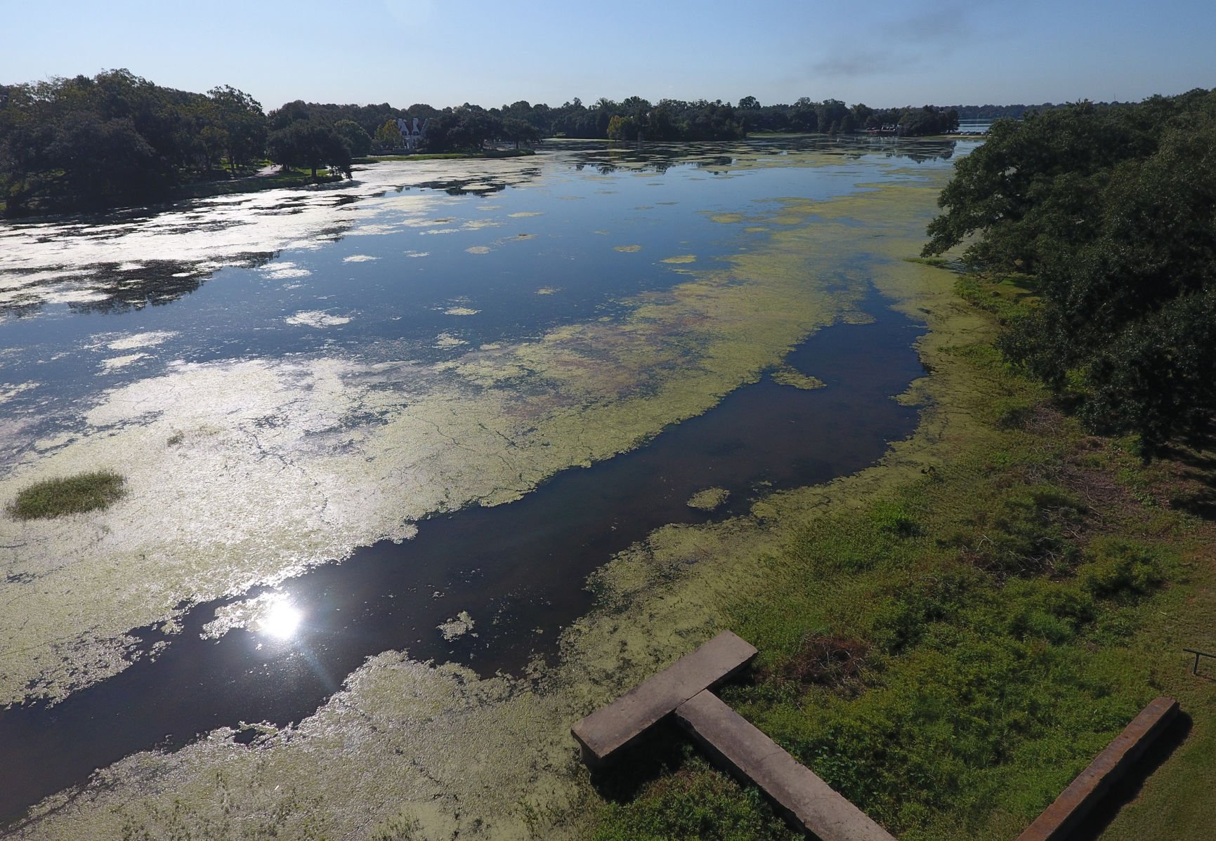 Why all the algae in City Park Lake in Baton Rouge? 'There isn't a ...
