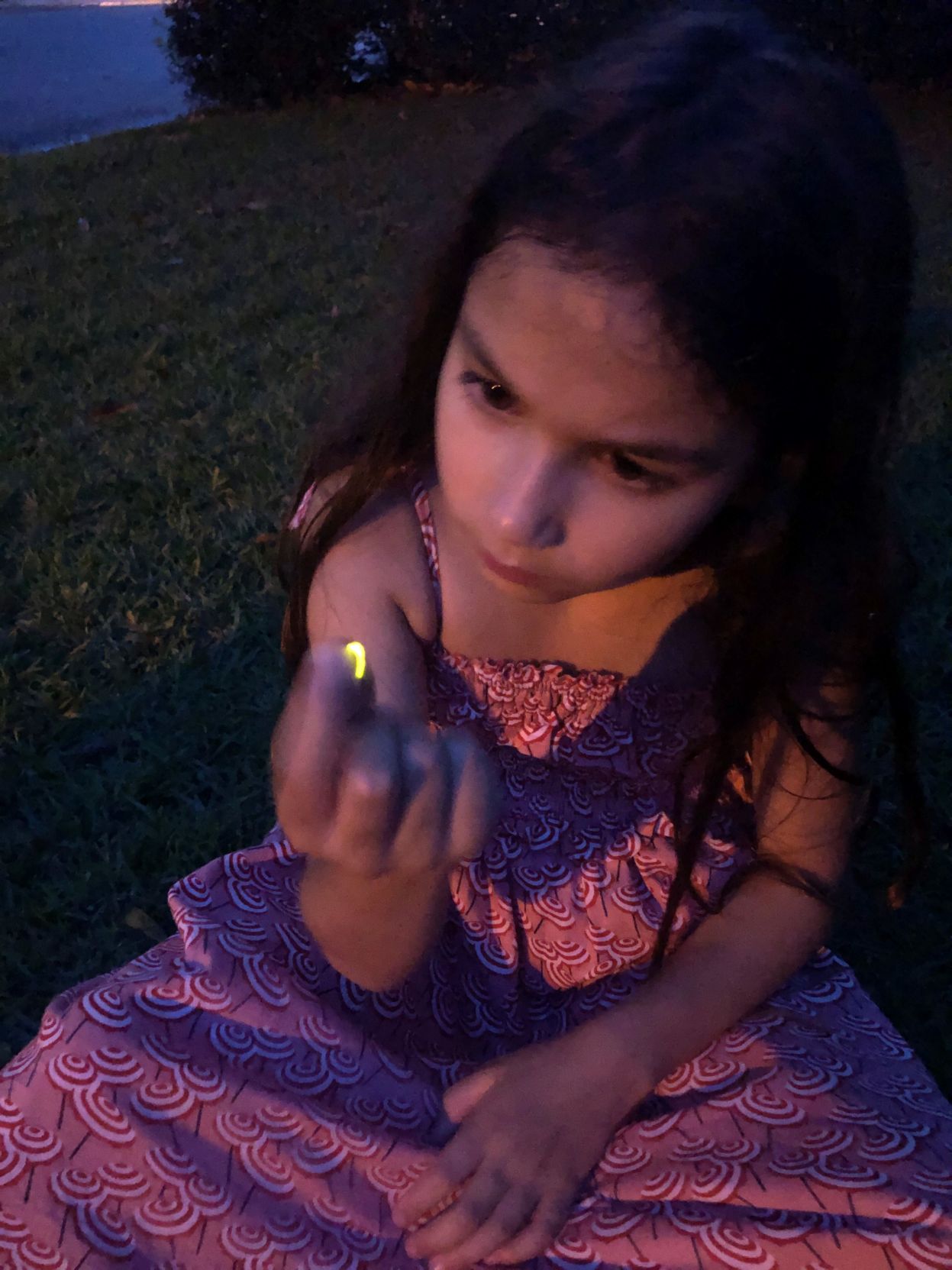 Count fireflies in your backyard and become a part of a world-wide ...