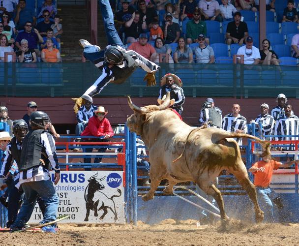 Guts and glory | | theadvocate.com