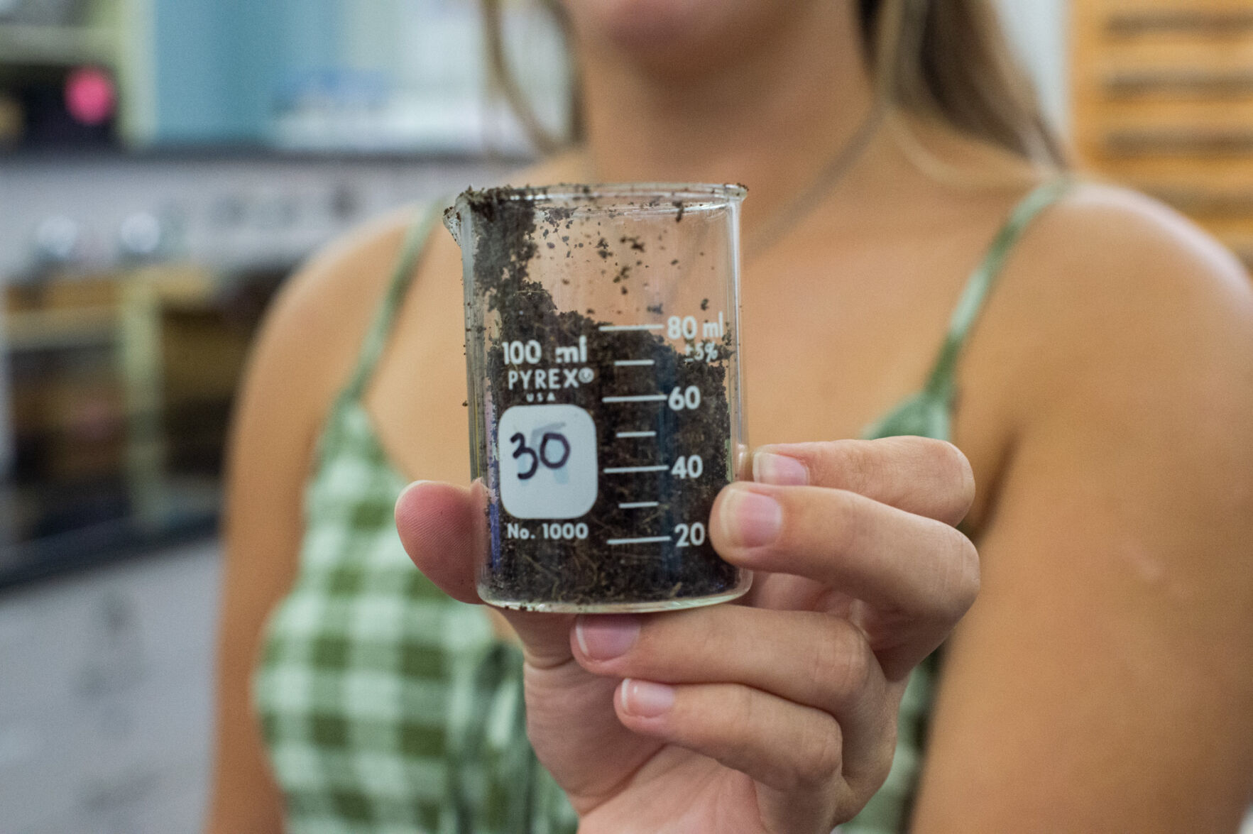 How safe is your yard? UL lab offers free soil testing for lead ...