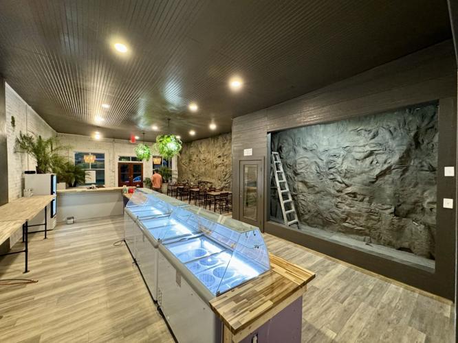 Sloth ice cream shop opening near Gulfport, Mississippi | Entertainment ...
