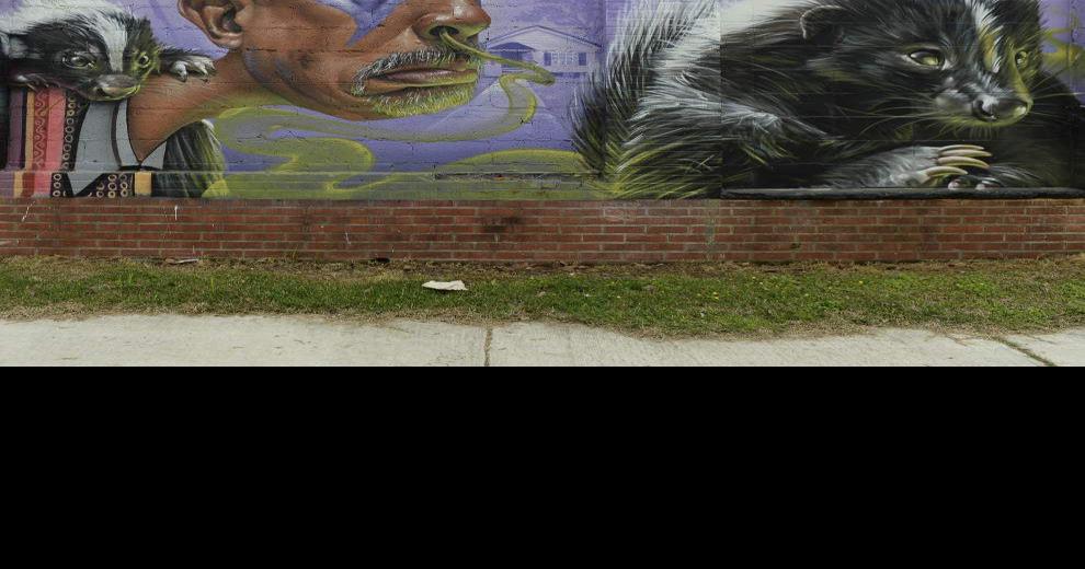 Baton Rouge street art on display in Google Cultural Institute | News ...