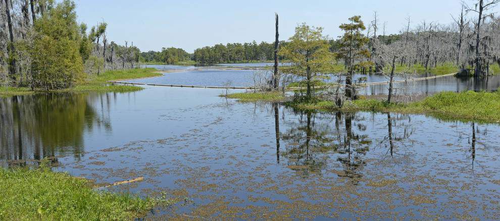 Photos: Bayou Corne sinkhole second anniversary | News | theadvocate.com