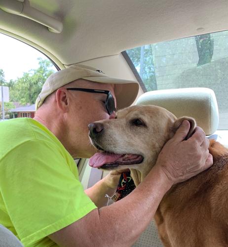 Ken Stickney: What our yellow Lab taught us, in life and in death ...