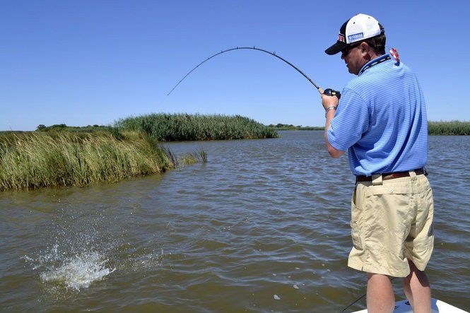10 fascinating redfish facts | Louisiana Outdoors | theadvocate.com