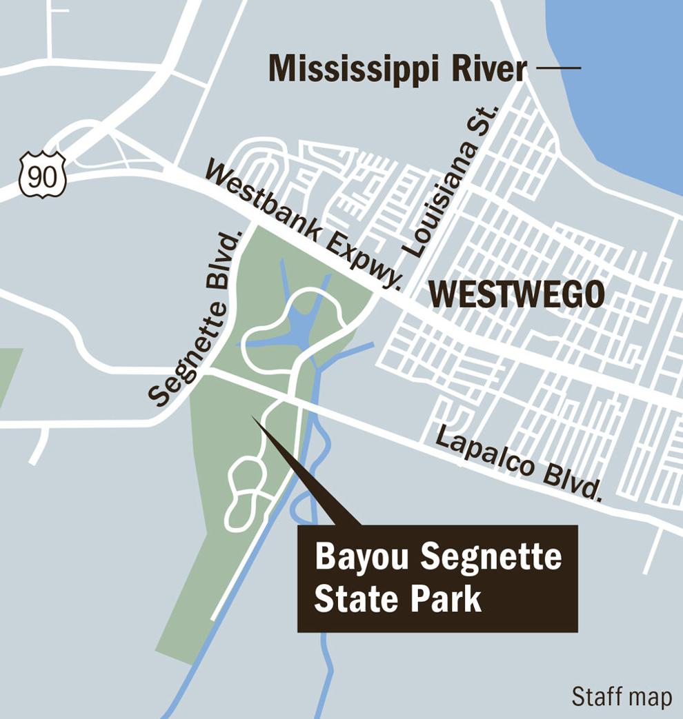 Bayou Segnette State Park offers fishing, boating and more | Travel ...