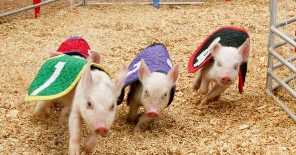 Greater Baton Rouge State Fair: 7 things to know | Entertainment/Life ...