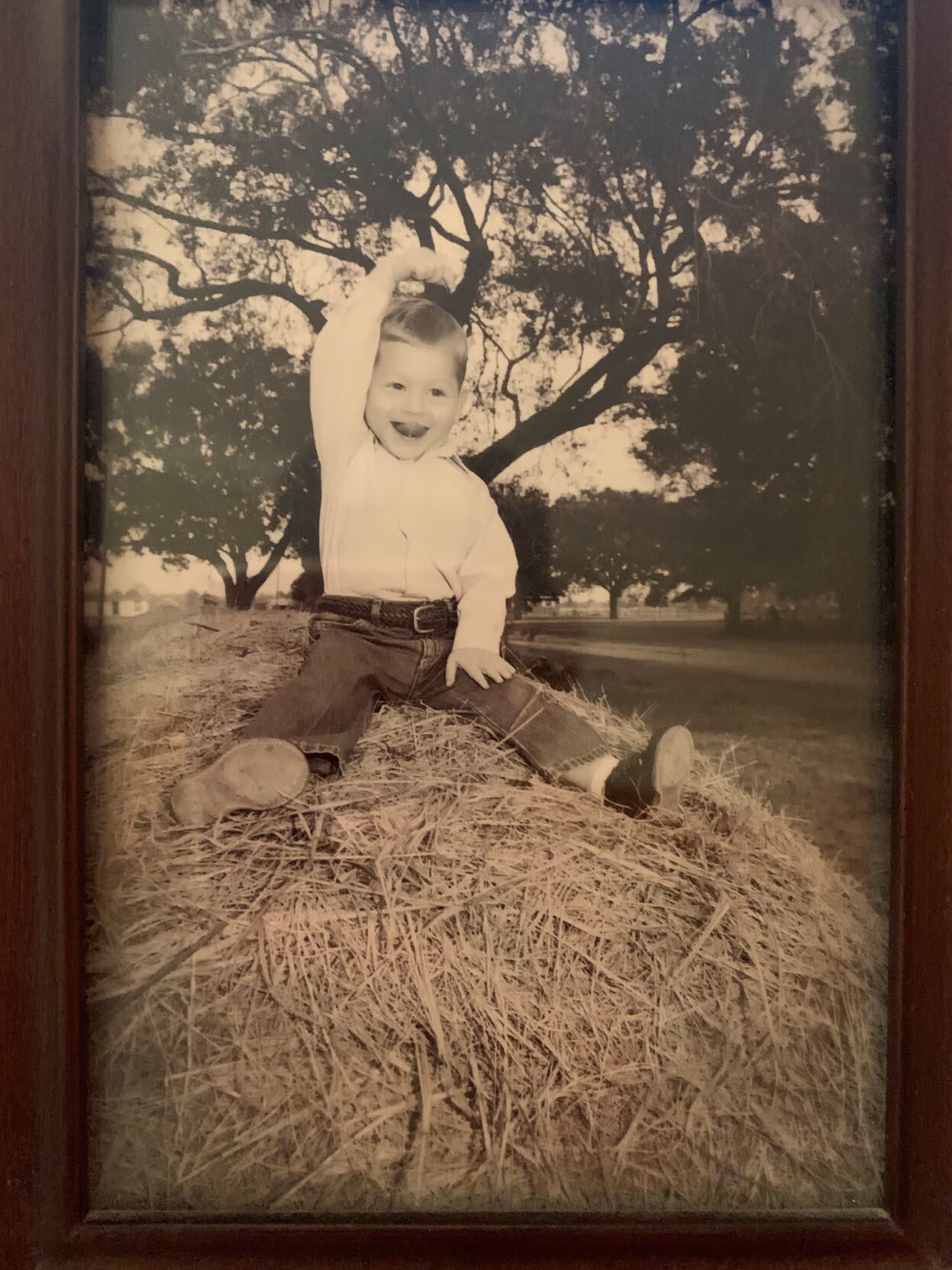 Carencro's Kade Sonnier goes from baseball to rodeo star ...