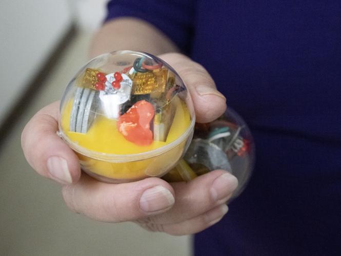 LSU researchers make self-powered light for algae production | Business ...