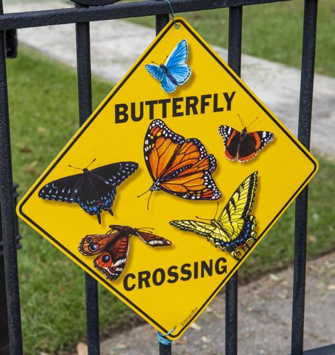 A gorgeous garden: St. James residents create a beautiful spot for ...