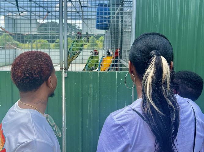 Barn Hill Preserve offers visitors fun animal encounters ...