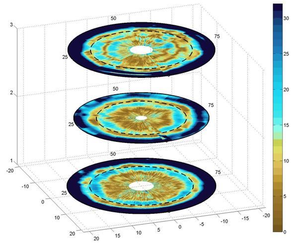 Under the radar: Technology lets arborists examine trunks, roots ...