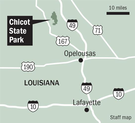 Make a visit to Chicot State Park, Louisiana's "crown jewel ...