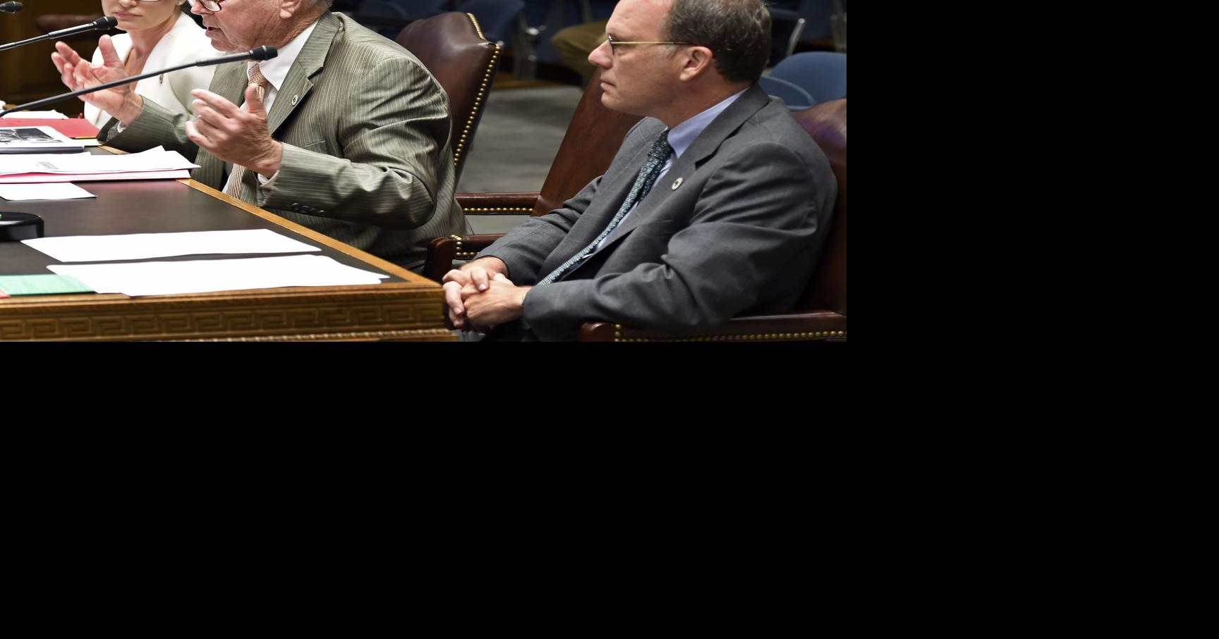Mark Ballard: Giving voters a say in homestead exemption will be hot ...