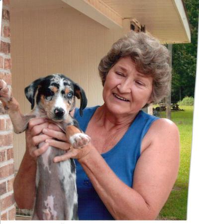 15 years after Barbara Blount vanished, family still hopeful | News ...