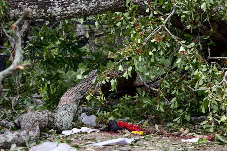 Oak tree branch falls on teenager in Jackson Square | News ...