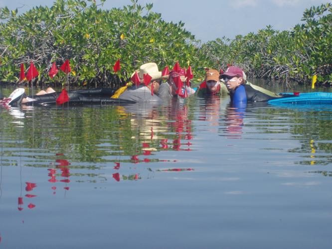 LSU professor discovers site of oldest Maya salt works | Entertainment ...