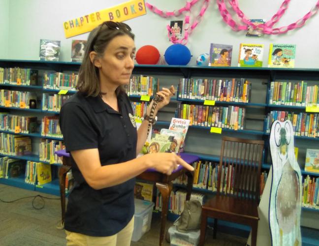 Baby gators visit Audubon Regional Library as part of summer reading ...