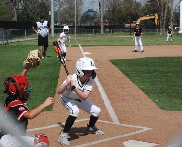 Signs of spring: Zachary Youth Park hosts a large baseball tournament ...