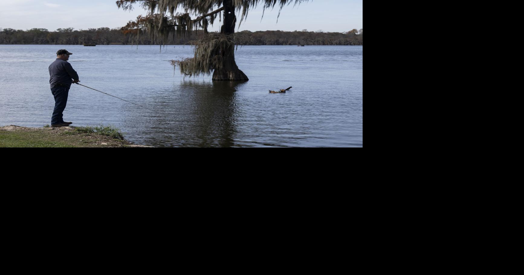 Lake Martin cypress tree struck by lightning, catches fire | News ...