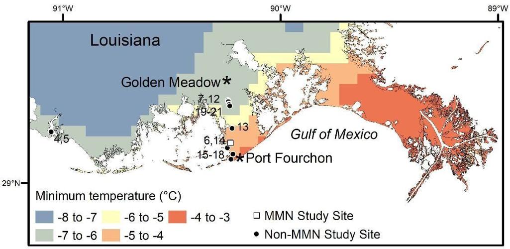 What does arctic cold mean for climate change in Louisiana ...