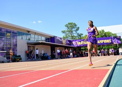 LSU's Michaela Rose breaks another record | LSU | theadvocate.com