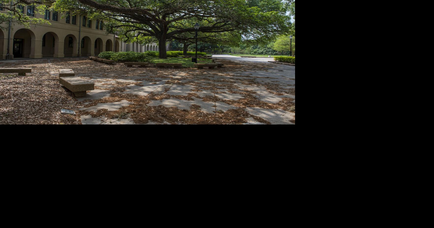 Hurricane Laura: LSU to close campus Wednesday; BRCC closed Wednesday ...