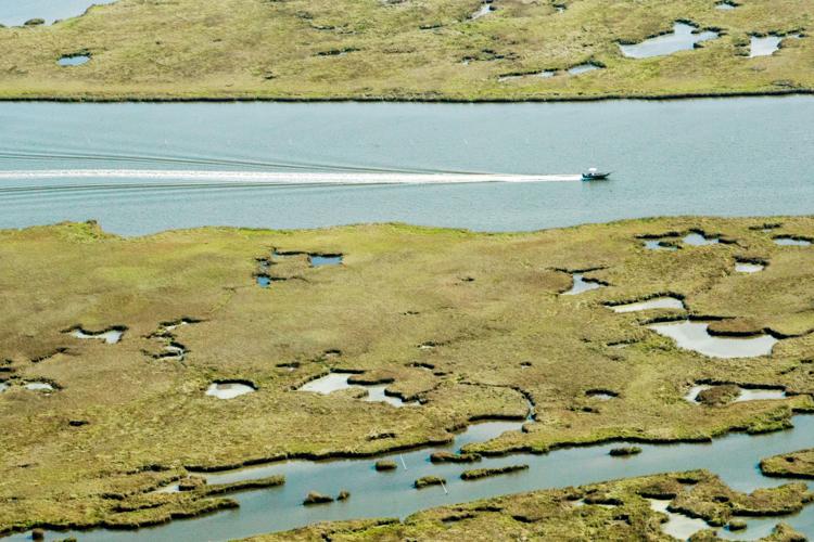 Mississippi River diversion project will protect critical bird habitats ...