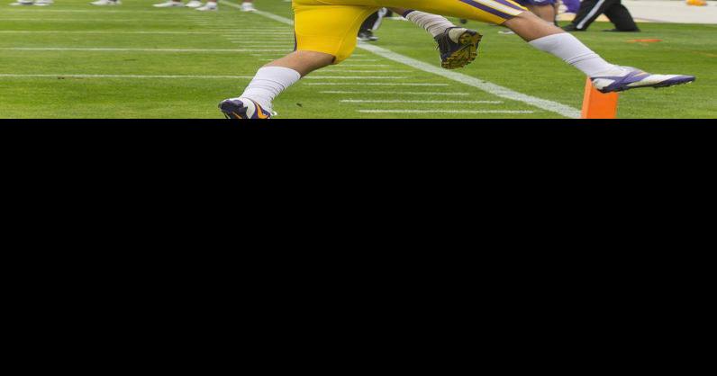 A look at LSU’s wide receivers | LSU | theadvocate.com