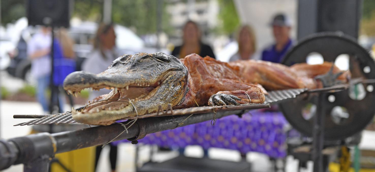 Photos: LSU fans tailgate, grilling plenty of gator, ahead of top ten ...