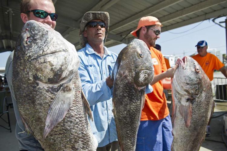 2014 International Grand Isle Tarpon Rodeo | News | theadvocate.com