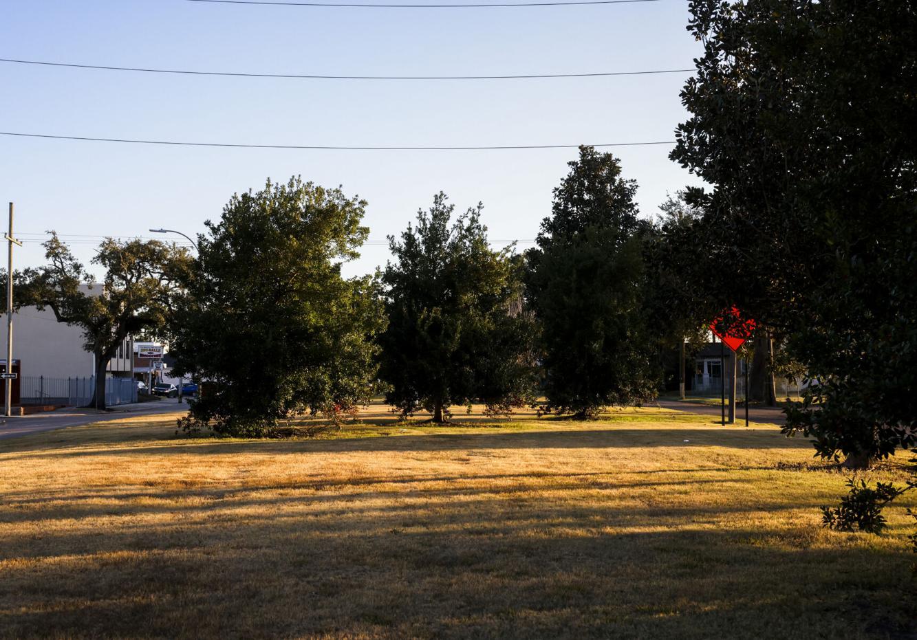 Why do we say 'neutral grounds' for New Orleans medians? | Curious ...