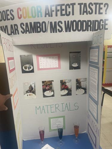 Clinton Elementary School honors top science fair projects | East ...