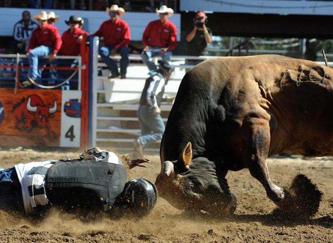 Angola Prison Rodeo lives up to its name: ‘Wildest Show in the South ...