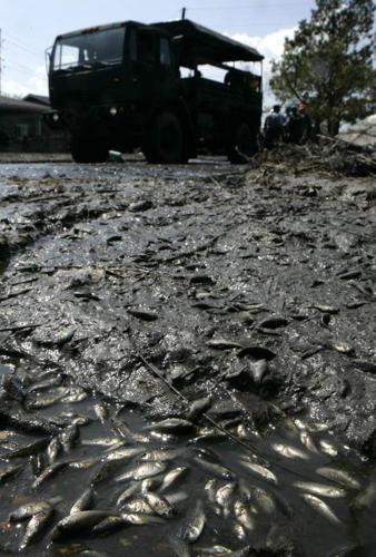 St Bernard Parish Rebuilds Itself From Utter Devastation After